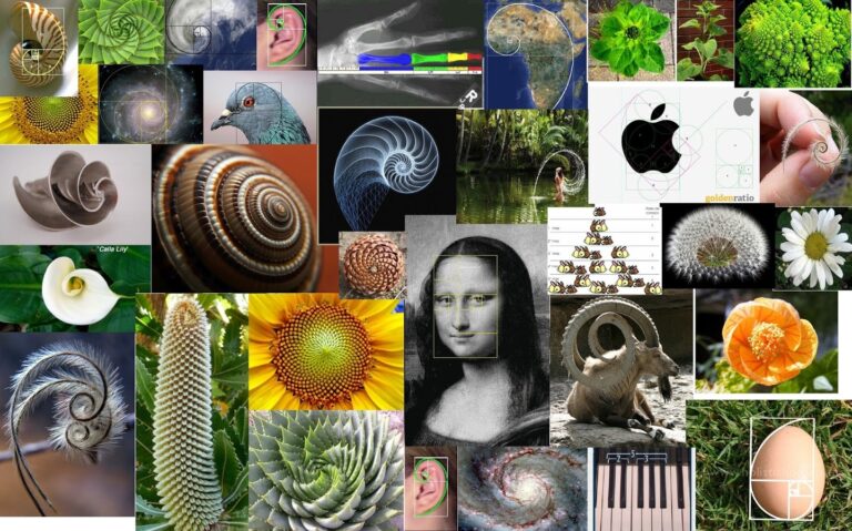 O que é a sequência de Fibonacci? | Eliel Lança